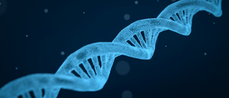 First Supermolecule Combining Peptide and DNA Helix - BioTechniques