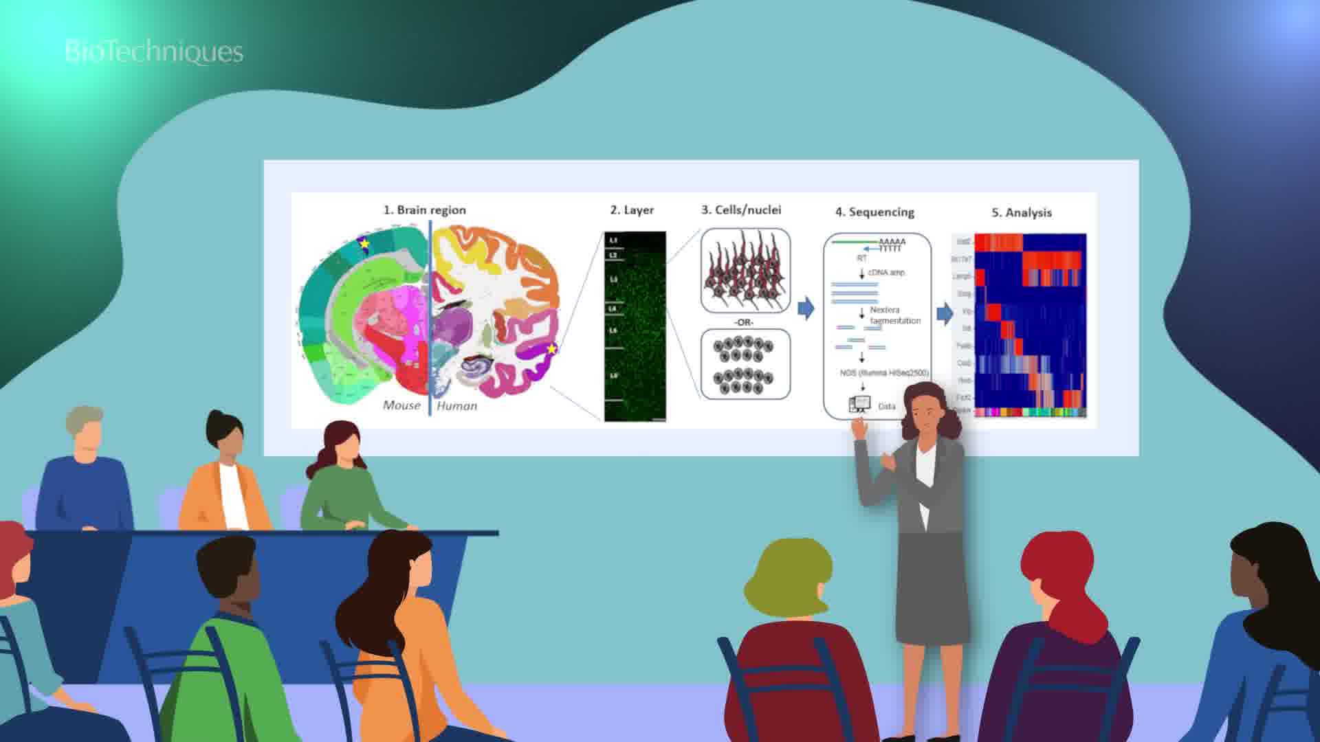 Introducing single-cell sequencing - BioTechniques