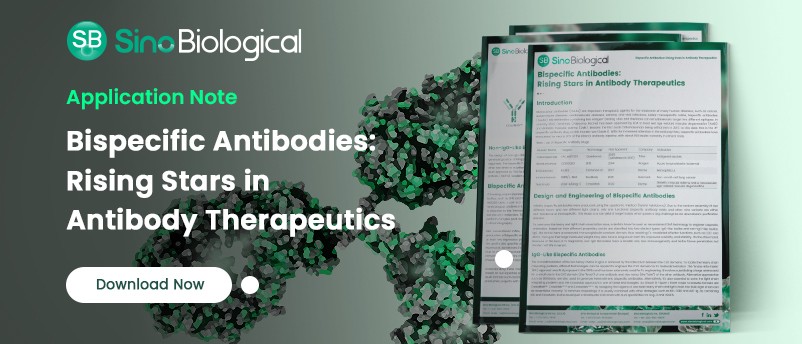 Application Note Bispecific Antibodies Rising Stars In Antibody