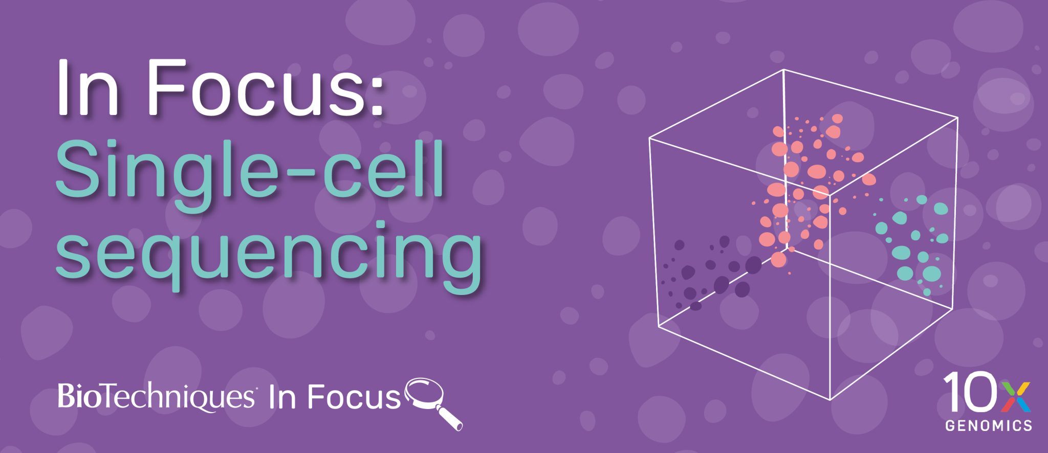 In Focus: Single-Cell Sequencing - BioTechniques
