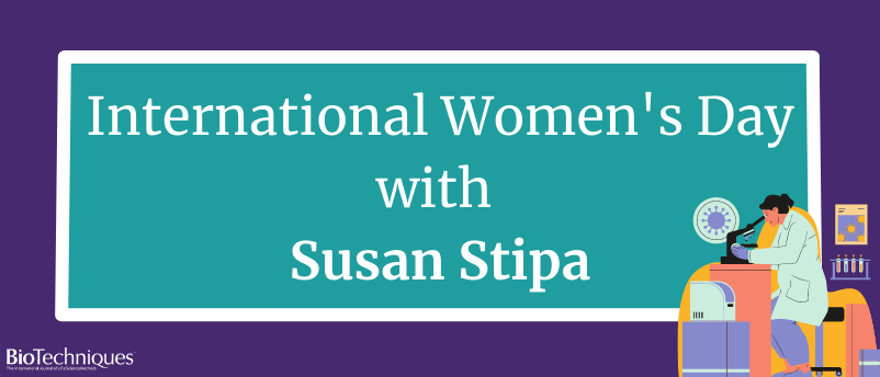 Susan Stipa: A Day in the Life - BioTechniques