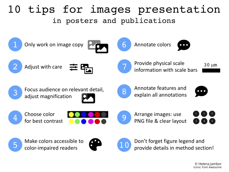 Tips to Prepare Images for Presentations - BioTechniques