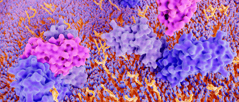 Cytokine-based cancer immunotherapy - BioTechniques