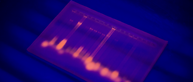 Applications of innovative whole-genome bisulfite sequencing (WGBS) in ...