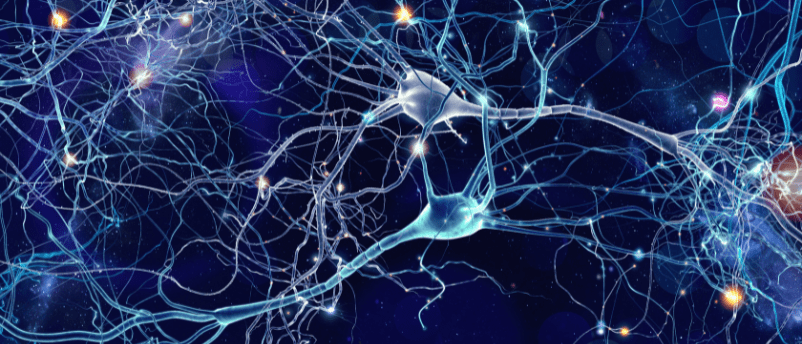 Mechanism Behind Neural Regeneration Uncovered - BioTechniques