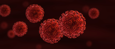 Innate Immune System Detects HIV-1 in Two-Steps - BioTechniques