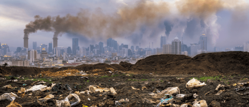 Soil Pollution Linked to Cardiovascular Disease - BioTechniques
