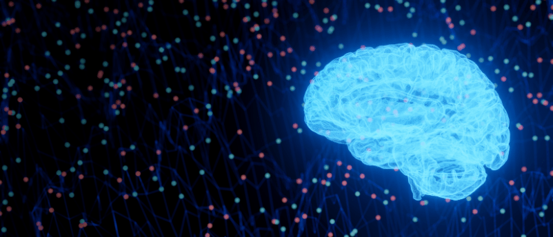 Imaging the brain with multi-photon microscopy - BioTechniques