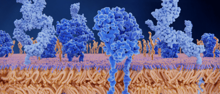 Expansion Revealing Microscopy - BioTechniques