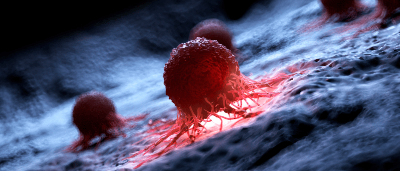 Charting the spatial landscape of cancer hallmarks - BioTechniques
