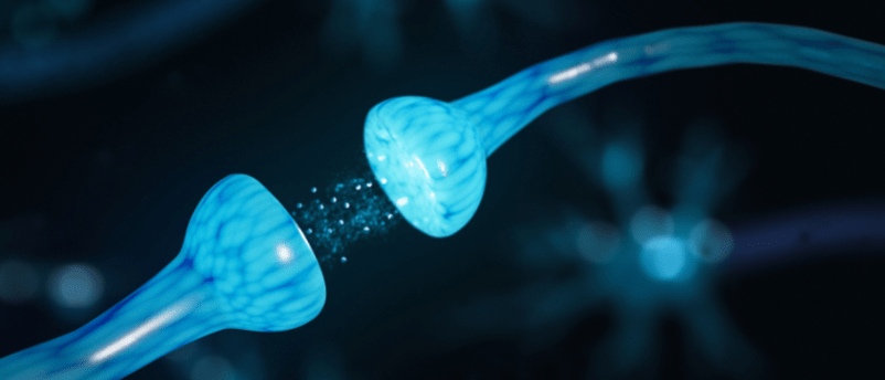 Expansion Revealing Microscopy - BioTechniques