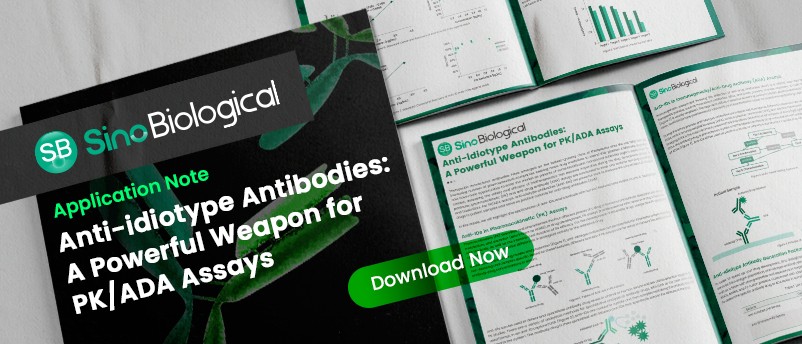 Anti-idiotype antibodies: a powerful weapon for PK/ADA assays ...