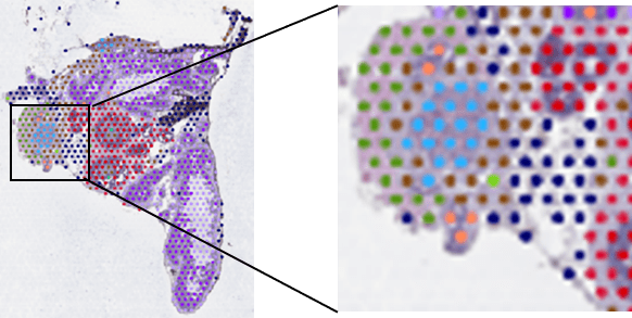 Incorporating Spatial Omics in Research - BioTechniques