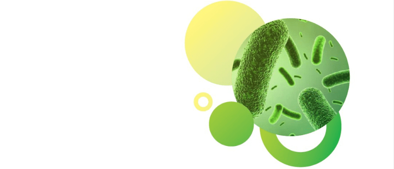 Zymo Research takes aim at shotgun metagenomic sequencing - BioTechniques