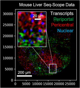 Incorporating Spatial Omics in Research - BioTechniques