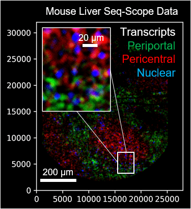 Incorporating Spatial Omics in Research - BioTechniques