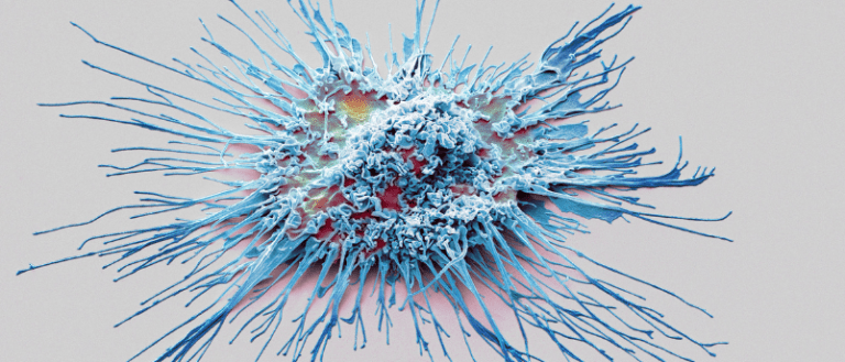 Microglia Activation Pathway Uncovered - BioTechniques