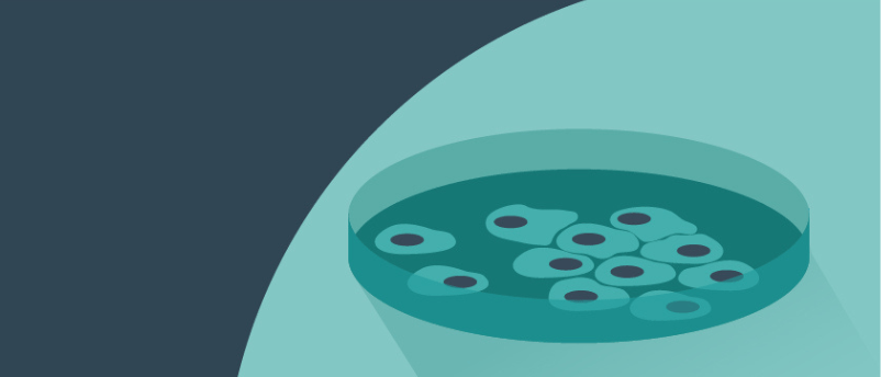 Infographic: Cell Line Development - BioTechniques