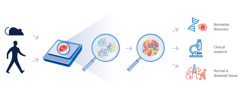 Spatial biology without limits: Spatially resolve gene expression in ... Spatial biology without limits: Spatially resolve gene expression in ...