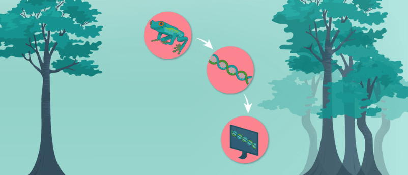 Conservation of Critically Endangered Species - BioTechniques