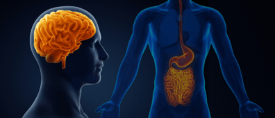 Metabolites and Gut–Brain Axis Communication - BioTechniques