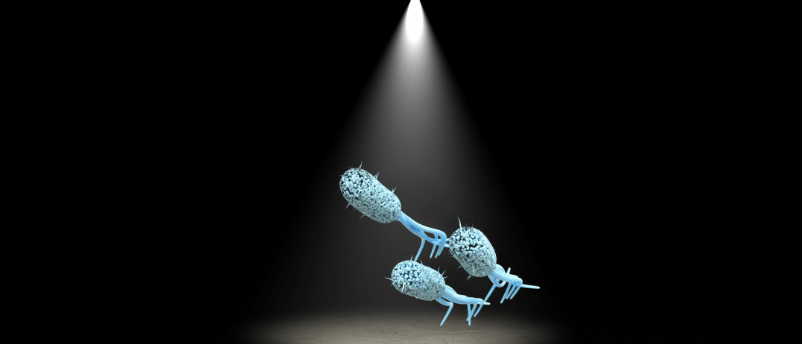 Microbiology: The Latest Discoveries - BioTechniques