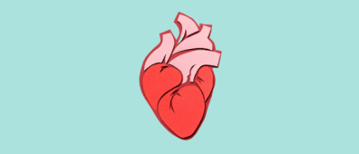 New Heart Organoid Developed - BioTechniques