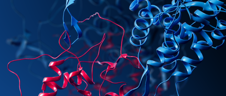 Get real tissue biodistribution results without matrix effects ...