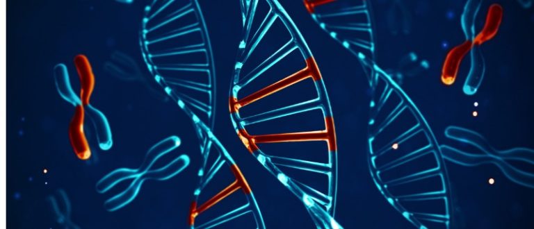 Draft of Human Pangenome Published - BioTechniques