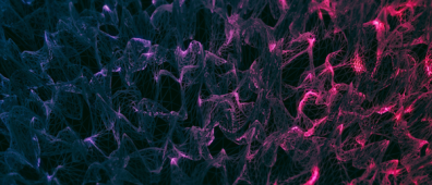 Genetic Defects Underlying Neuron Death - BioTechniques