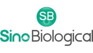 Infographic: Next-generation cytokines for cancer - BioTechniques