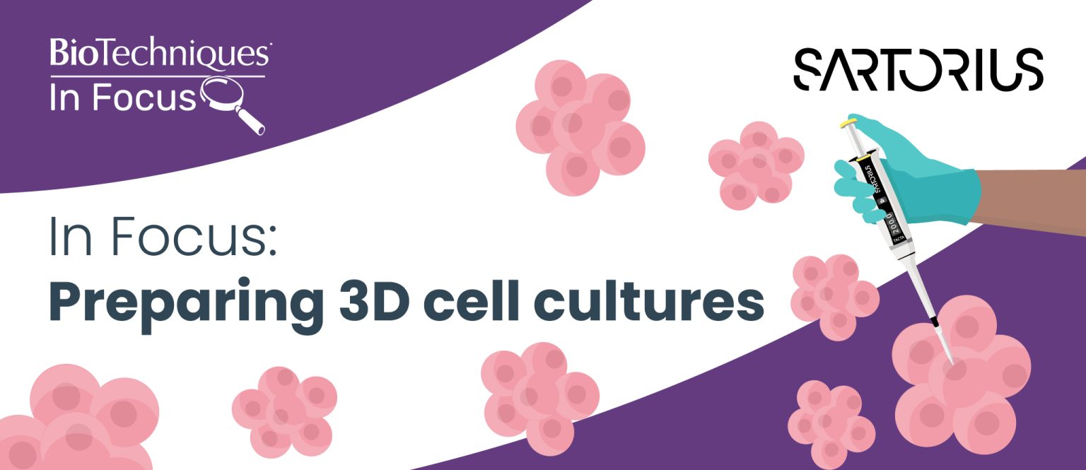 Preparing 3D cell cultures - BioTechniques