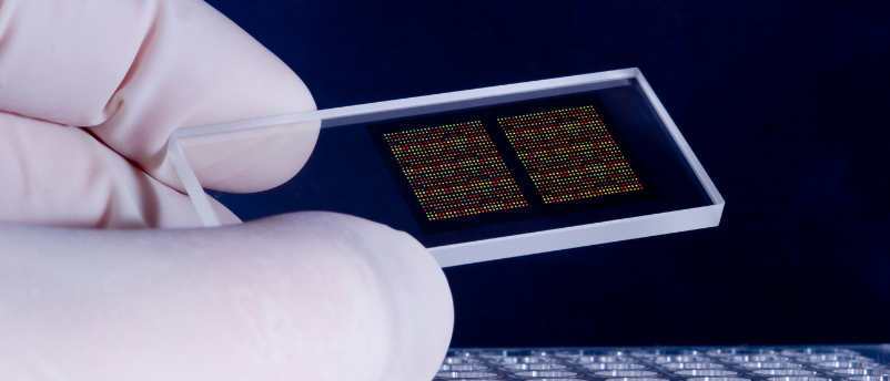 Dna Microarray Revolutionized Genomic Analysis Biotechniques