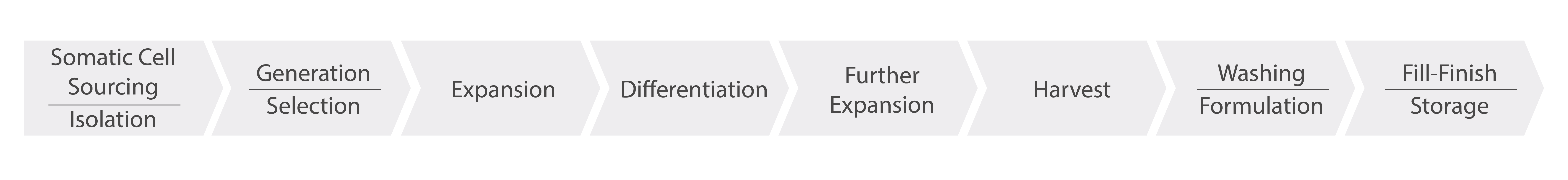 Key tips and technologies for the development of iPSC-derived cell ...