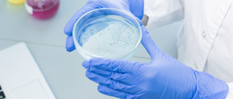Application Note: Solutions for culturing, maintaining and ...