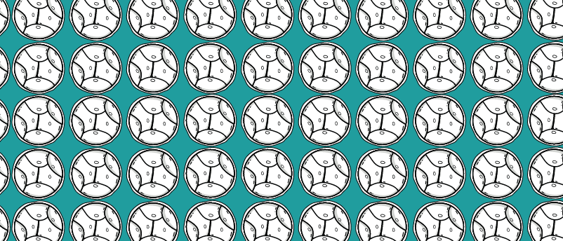 Embroygenesis in Parhyale Hawaiensis - BioTechniques