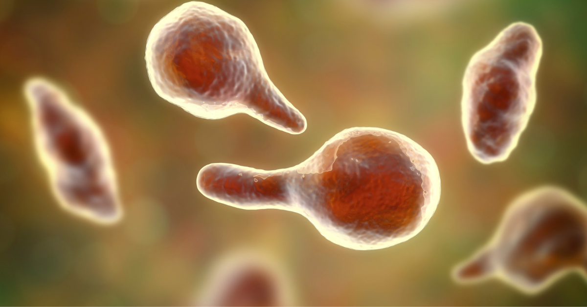Application Note: Minimize the risk of mycoplasma contamination in your ... Application Note: Minimize the risk of mycoplasma contamination in your ...
