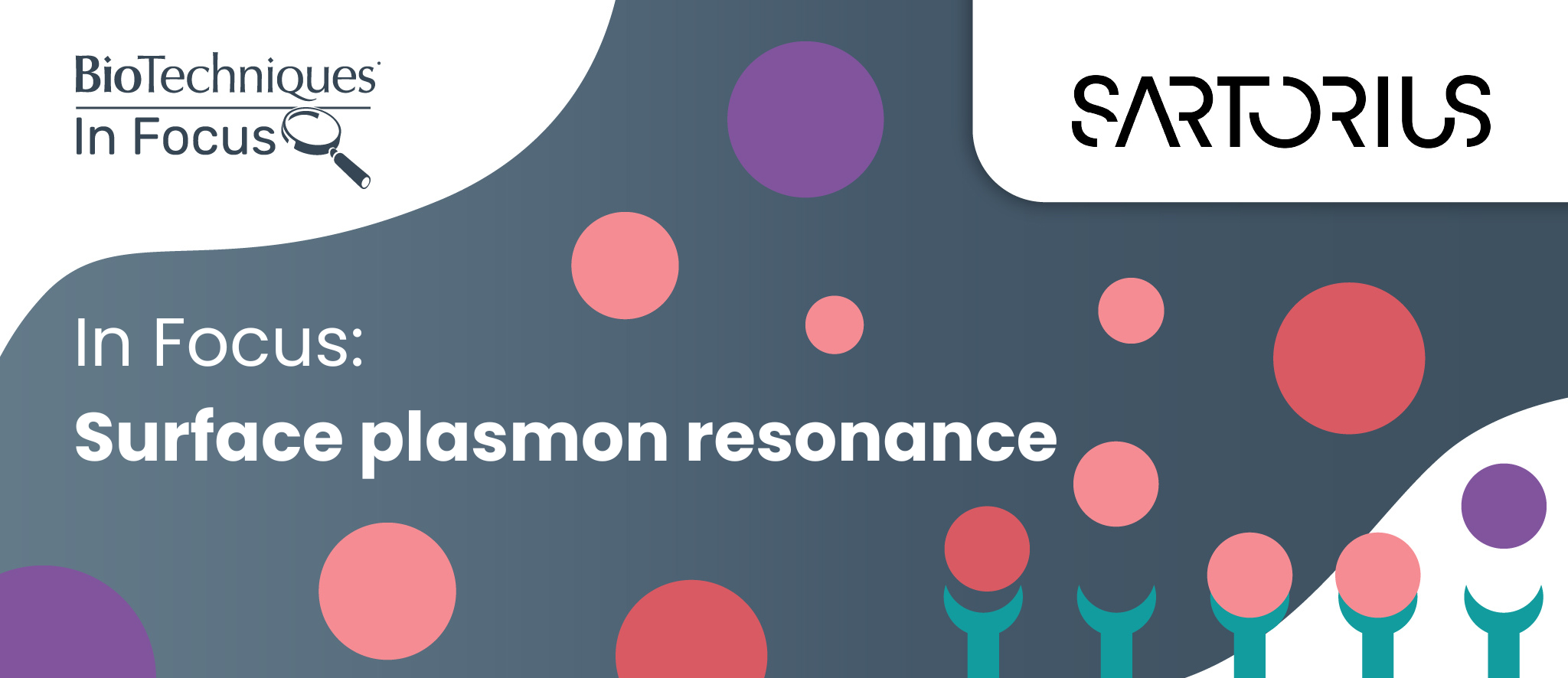 Surface plasmon resonance - BioTechniques