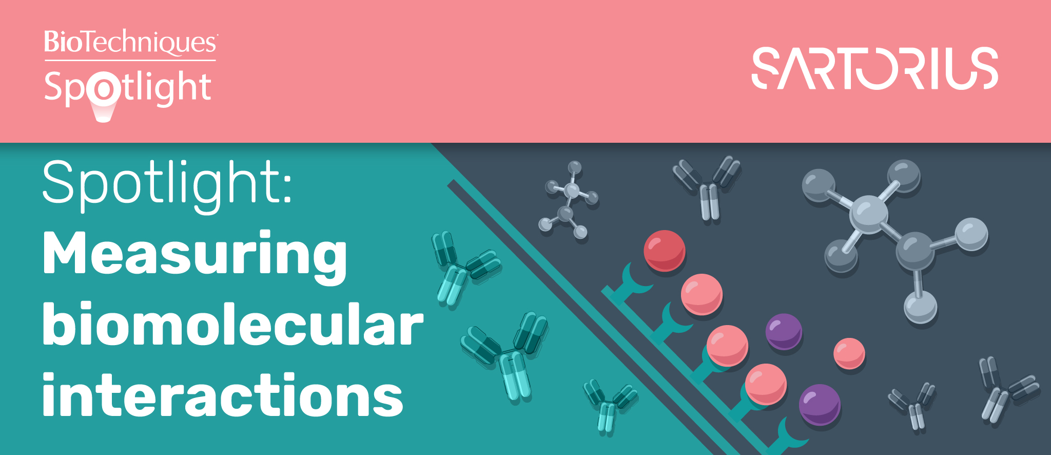 Spotlight Measuring Biomolecular Interactions Biotechniques