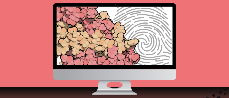 Predicting Protein Interaction Based On Surface Affinity Biotechniques