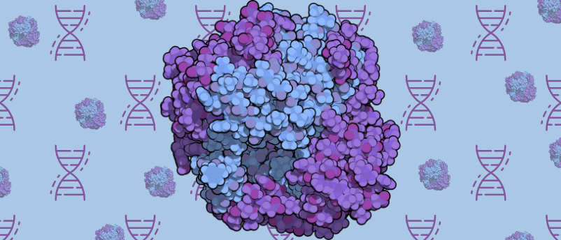 MCM8/9 Structure Uncovered with Cryo-EM - BioTechniques