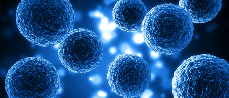 Application Note: Real-time live-cell analysis of 3D organoid growth in ...