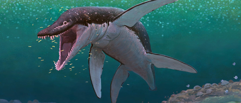 New Pliosaur Genus Discovered - BioTechniques