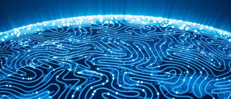 Building a Comprehensive Mouse Brain Connectome - BioTechniques