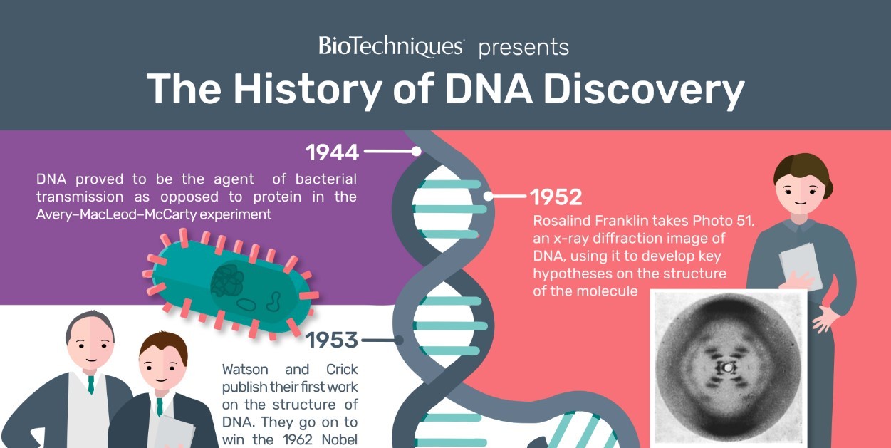 The history of DNA discovery - BioTechniques