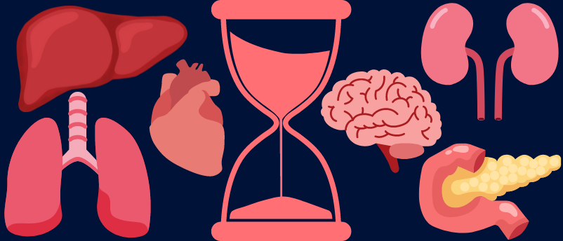 Algorithm Detects Accelerated Organ Aging From Protein Screens ...