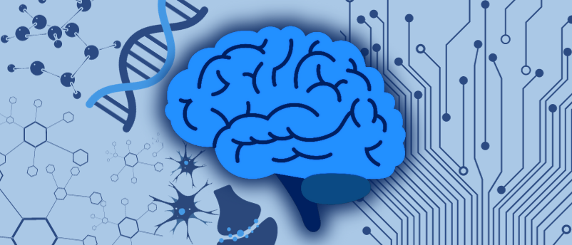 Integration Neuroscience for Understanding Information Processing ...