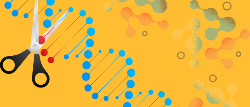 Growing CRISPR’s Gene-Editing Applications - BioTechniques