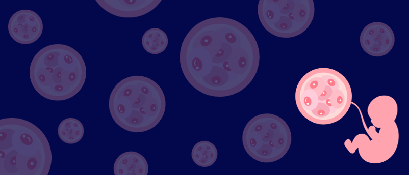 Predicting Embryo Quality for IVF - BioTechniques