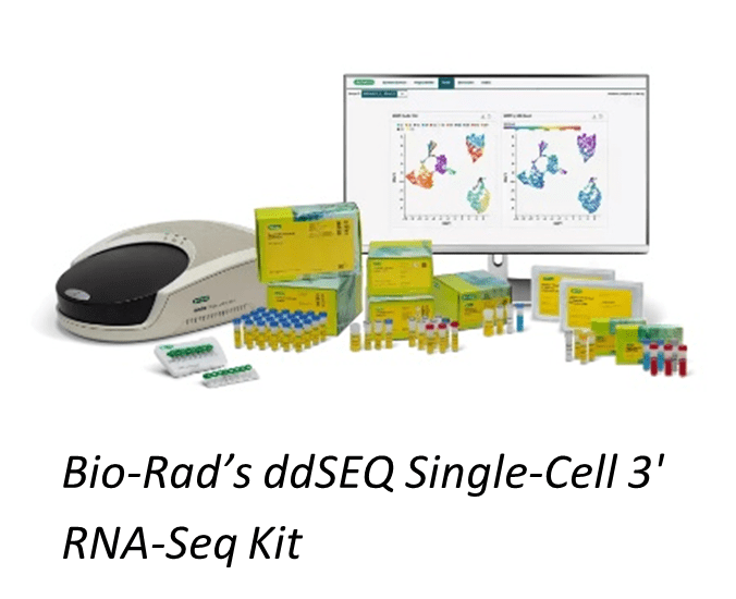 Business of BioTechniques 2024 - BioTechniques